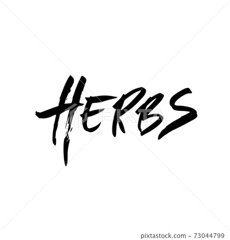 Herbs. Modern dry brush lettering. Ink... - Stock Illustration ...