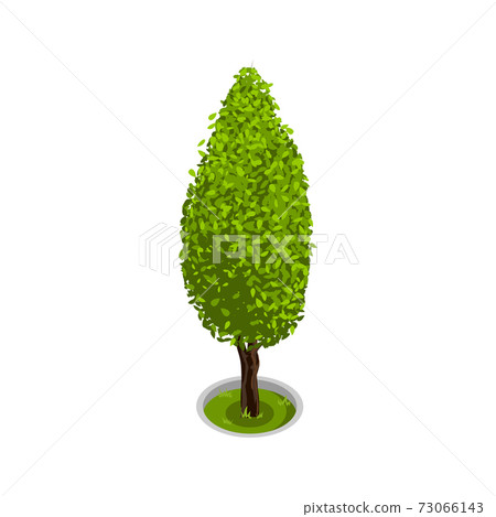 Landscape Cypress Design Vector Illustration - Stock Illustration ...