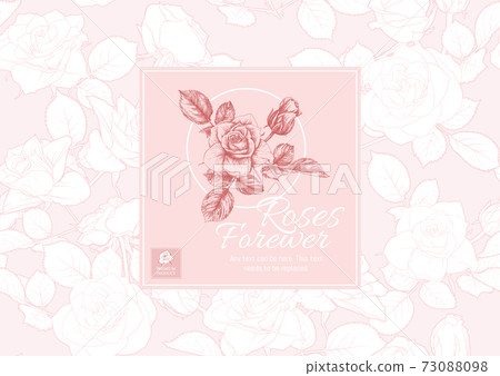 Roses flowers Template for product label - Stock Illustration [73088098 ...