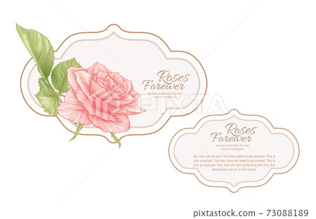 Set of face and back labels for products - Stock Illustration [73088189 ...