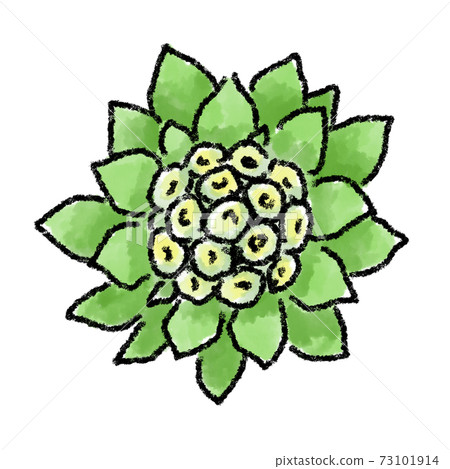 Fukinoto illustration watercolor hand-painted - Stock Illustration ...