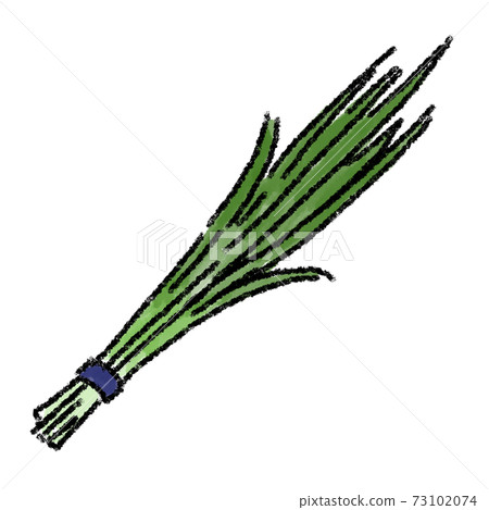 Chinese chive illustration watercolor hand-painted - Stock Illustration ...