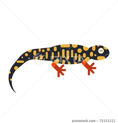 Geometric Stylized Salamander Icon in Flat Design - Stock Illustration ...