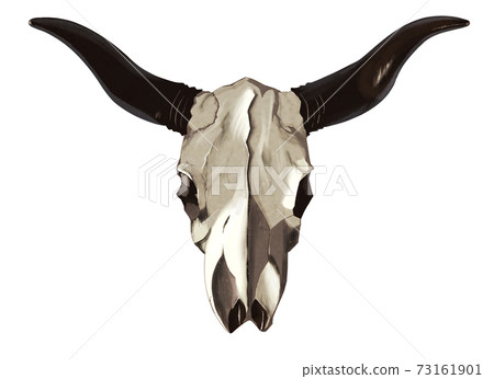 Cow head bone illustration - Stock Illustration [73161901] - PIXTA