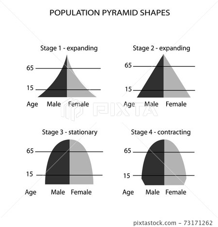 Four Types of Population Pyramids on White... - Stock Illustration ...