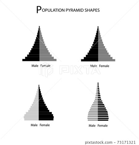 Different Types of Population Pyramids on White... - Stock Illustration ...