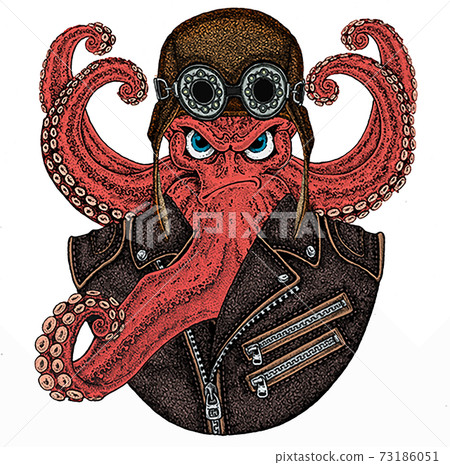 Octopus vector portrait. Sea marine creature,... - Stock Illustration ...