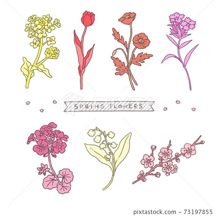 Warm color spring flower material set - Stock Illustration [73197855 ...