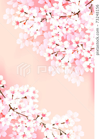 Cherry blossom landscape spring background - Stock Illustration ...