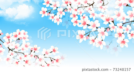 Cherry blossom landscape spring background - Stock Illustration ...