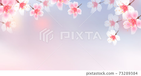 Cherry blossom landscape spring background - Stock Illustration ...