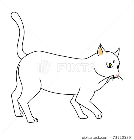 White cat facing forward - Stock Illustration [73310589] - PIXTA