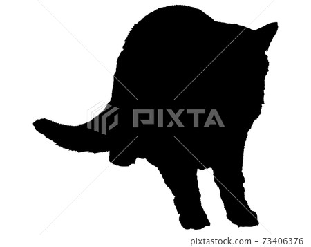 The silhouette of a cat with a curled back and... - Stock Illustration ...