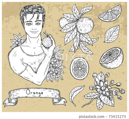 peach, boy, man, male, handsome, attractive,... - Stock Illustration ...