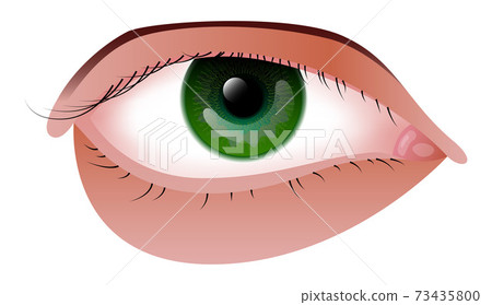 Vector eye in gradient style. Digital art - Stock Illustration ...