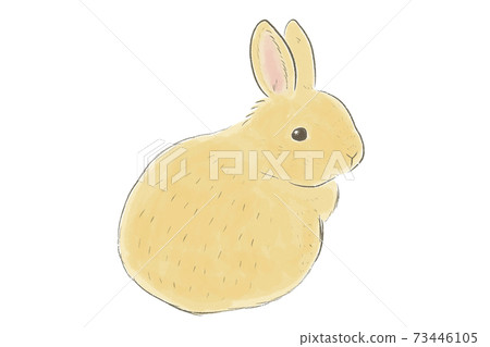 Rabbit looking back - Stock Illustration [73446105] - PIXTA