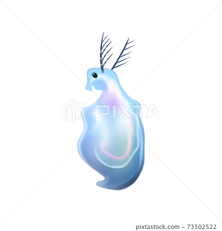 Realistic Plankton Illustration - Stock Illustration [73502522] - PIXTA