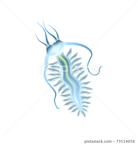 Realistic Plankton Illustration - Stock Illustration [73514058] - PIXTA