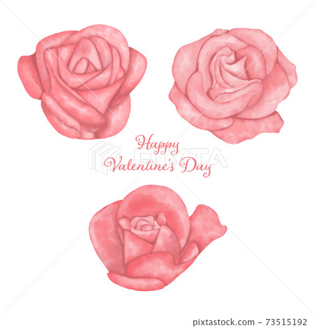 Set of watercolor pink roses for valentines day - Stock Illustration ...