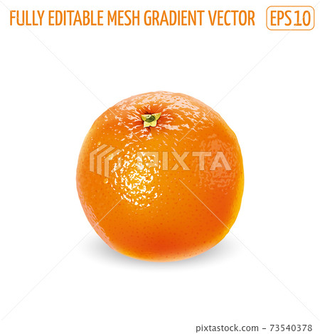 Fresh unpeeled orange on a white background. - Stock Illustration ...