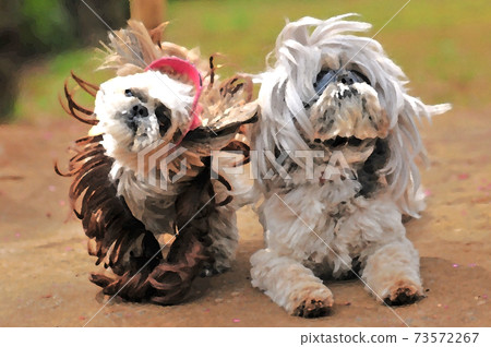 Adorable pet dog, its real face - Stock Illustration [73572267] - PIXTA