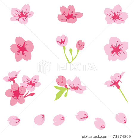Sakura illustration material set - Stock Illustration [73574809] - PIXTA