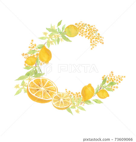 Alphabet C (lemon) - Stock Illustration [73609066] - PIXTA