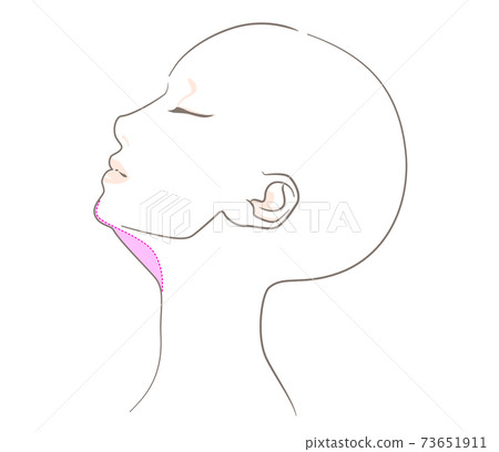 [Hairless / upward] Comparison of chin lines /... - Stock Illustration ...