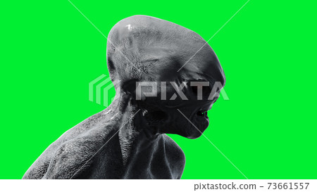 Scary monster isolate on green screen. 3d... - Stock Illustration ...