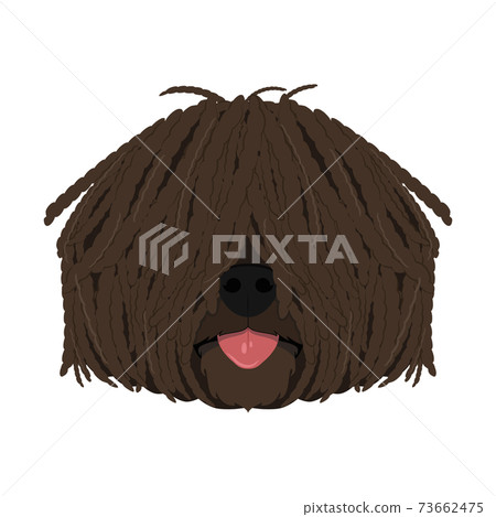 Puli dog isolated on white background vector... - Stock Illustration ...