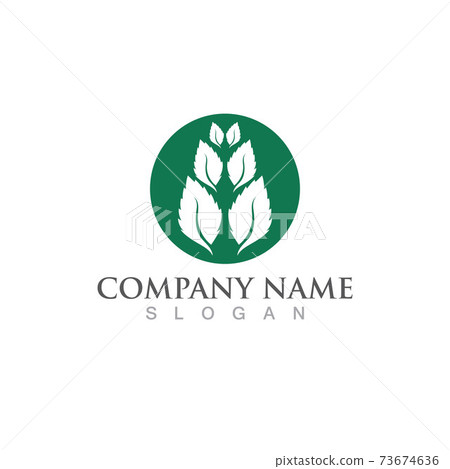 mint leaf green fresh logo - Stock Illustration [73674636] - PIXTA