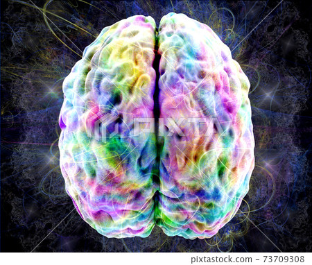 brain activity, colored human brain model, view... - Stock Illustration ...