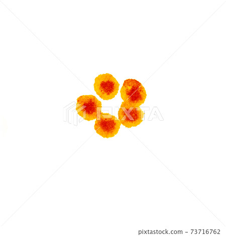 Watercolor illustration of salmon roe_single... - Stock Illustration ...