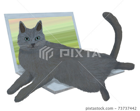 Cat gray that interferes with telework - Stock Illustration [73737442 ...