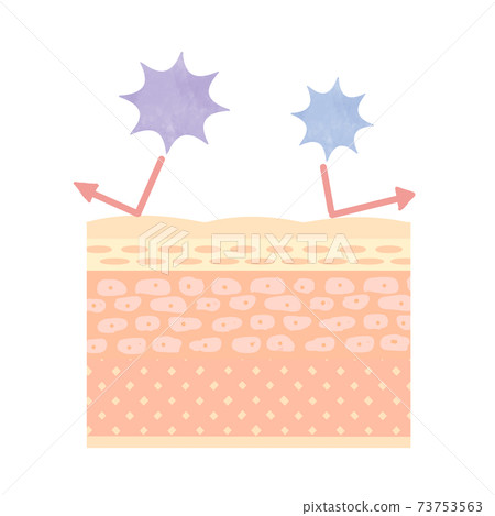 Image of skin barrier function - Stock Illustration [73753563] - PIXTA