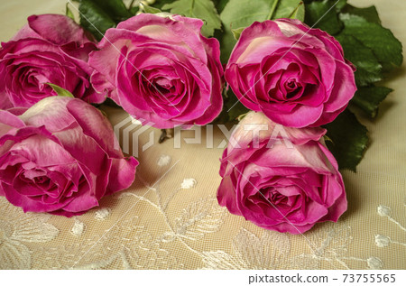 White Roses With Red Edges