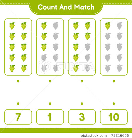 Count and match, count the number of Grape and... - Stock Illustration ...