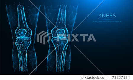 Abstract polygonal illustration of human knee...-插圖素材 [73837154] - PIXTA圖庫
