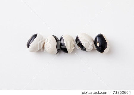 Lined panda beans - Stock Photo [73860664] - PIXTA