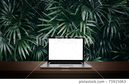 Modern laptop isolated on green leaf... - Stock Illustration [73915063 ...