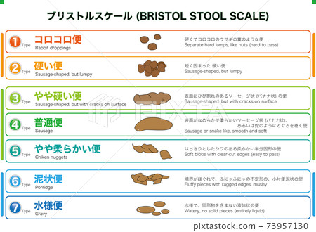 [醫學]通過BRISTOL STOOL SCALE對排便特性進行分類-插圖素材 [73957130] - PIXTA圖庫