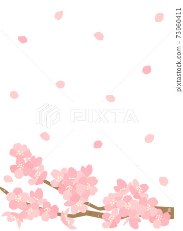 Sakura 136 Sakura Flower Card - Stock Illustration [73960411] - PIXTA
