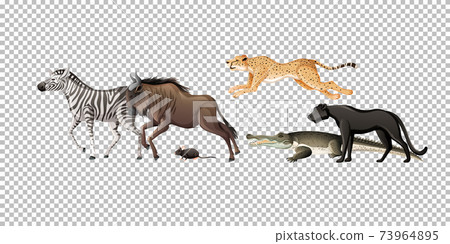 Group of wild african animal on transparent... - Stock Illustration ...