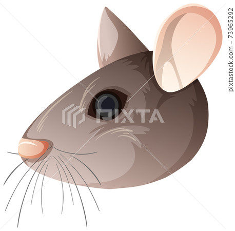 Isolated mouse head on white background - Stock Illustration [73965292 ...