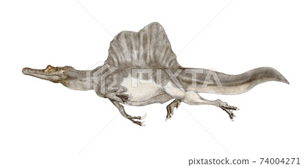 Spinosaurus. A white background image according... - Stock Illustration ...