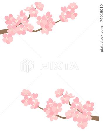 Sakura 142 Sakura Flower Card - Stock Illustration [74019010] - PIXTA