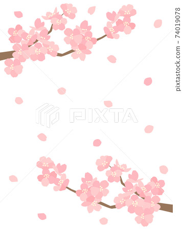 Sakura 143 Sakura Flower Card - Stock Illustration [74019078] - PIXTA