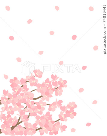 Sakura 146 Sakura Flower Card - Stock Illustration [74019443] - PIXTA