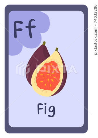 Alphabet education flash card, Letter F - fig - Stock Illustration ...