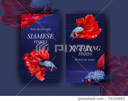Instagram template with Siames fighting fish... - Stock Illustration ...
